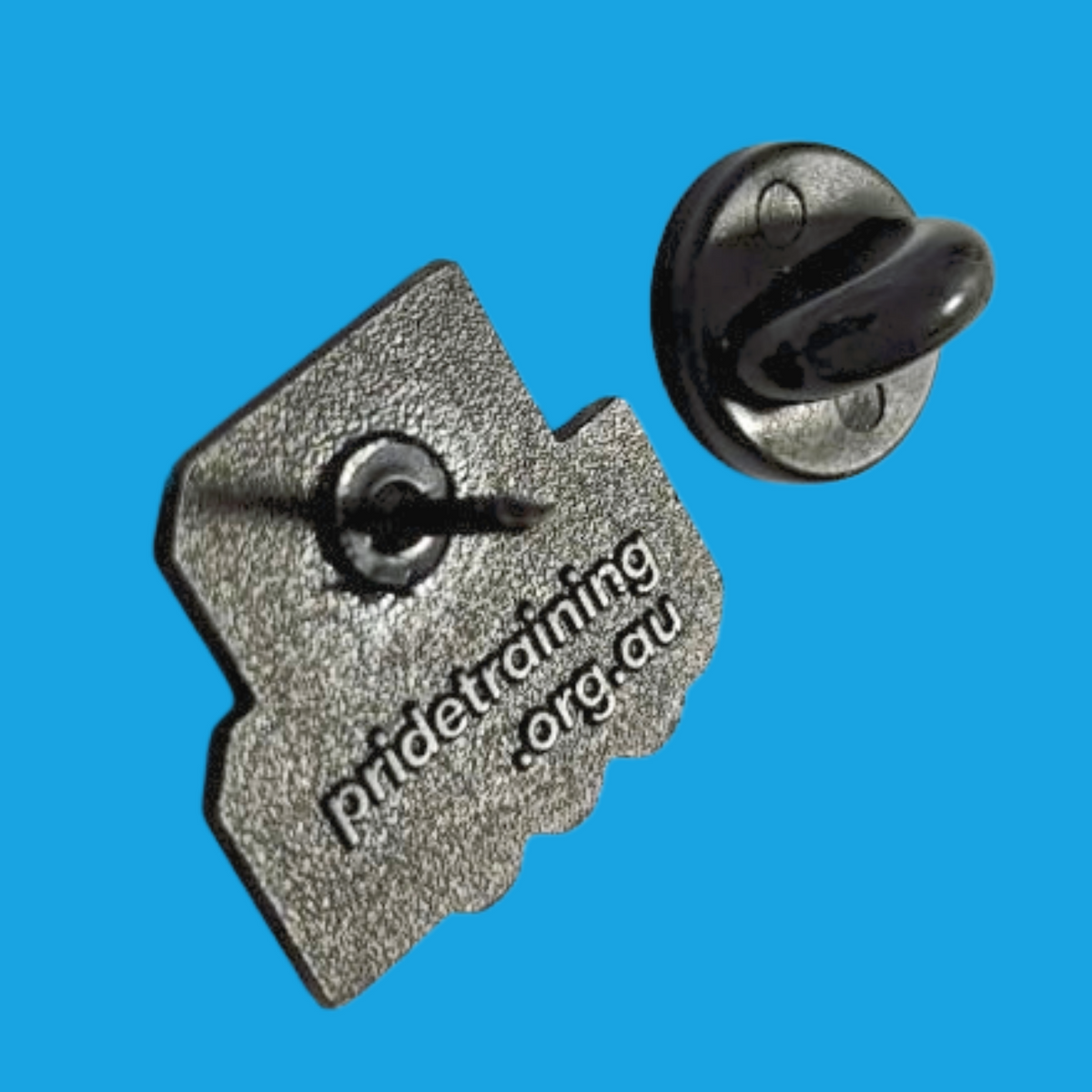 She/They Pronoun Pin Badge – ACON Pride Training